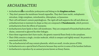 Eubacteria And Archaebacteria