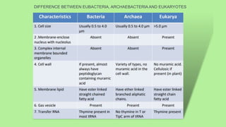 Archaea Eubacteria Conjugation