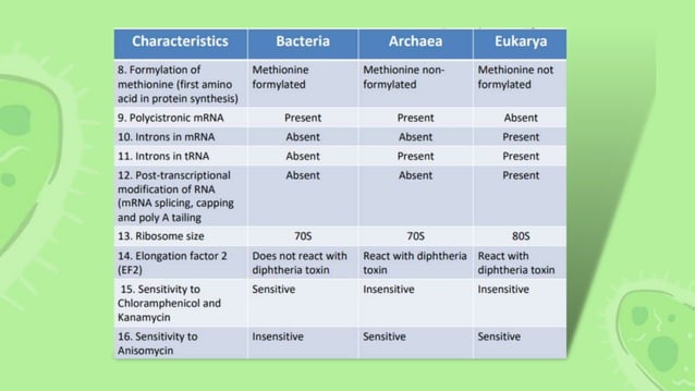 DIFFERENCES BETWEEN EUBACTERIA, ARCHAEBACTERIA AND EUKARYOTES.pptx