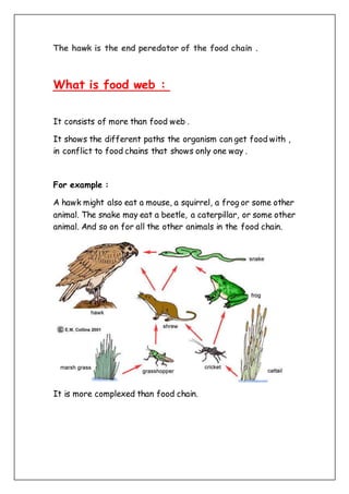 Differences between food chains & food webs in ecosystem | DOCX