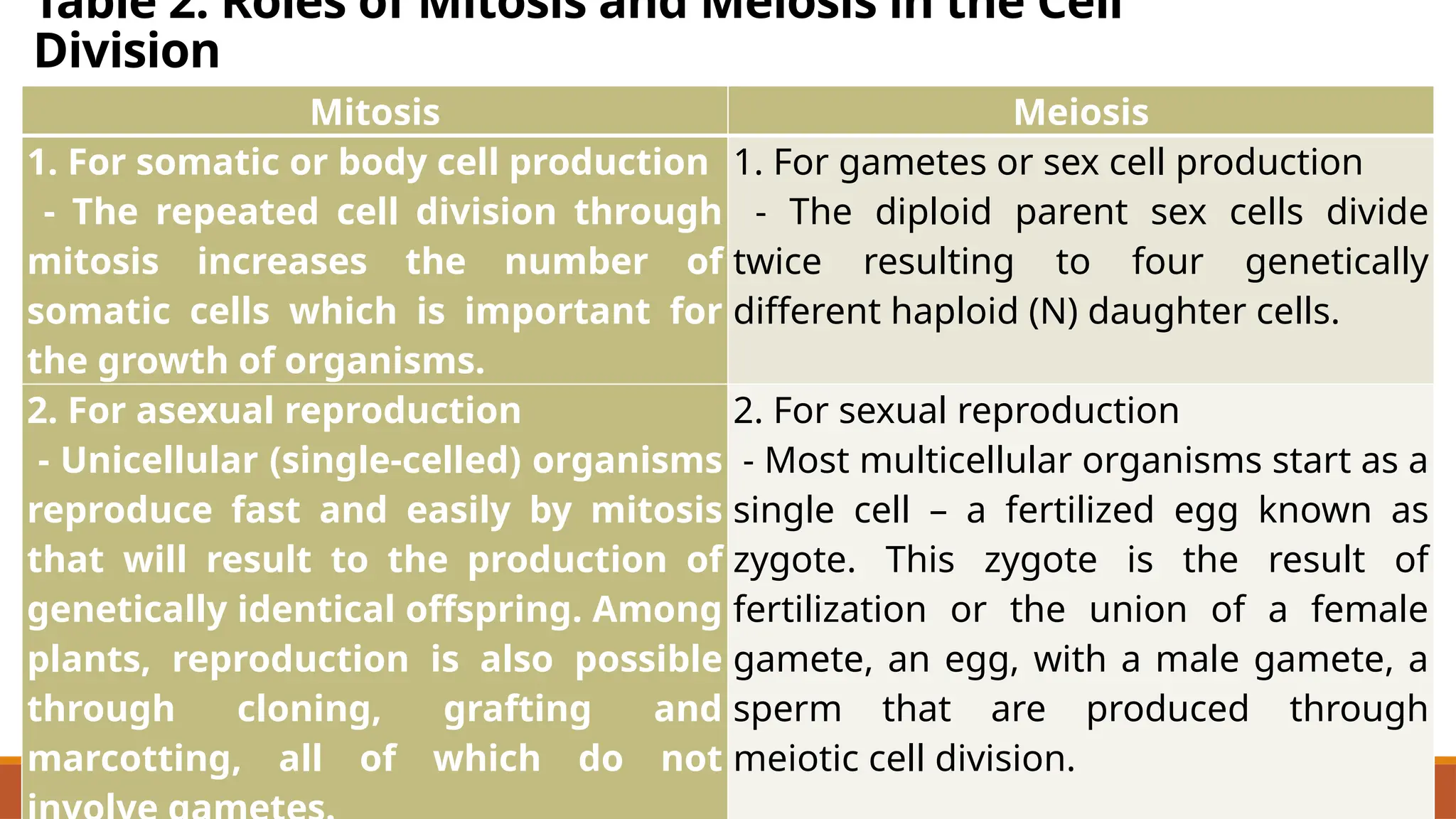 Differences between Mitosis and Meiosis.pptx
