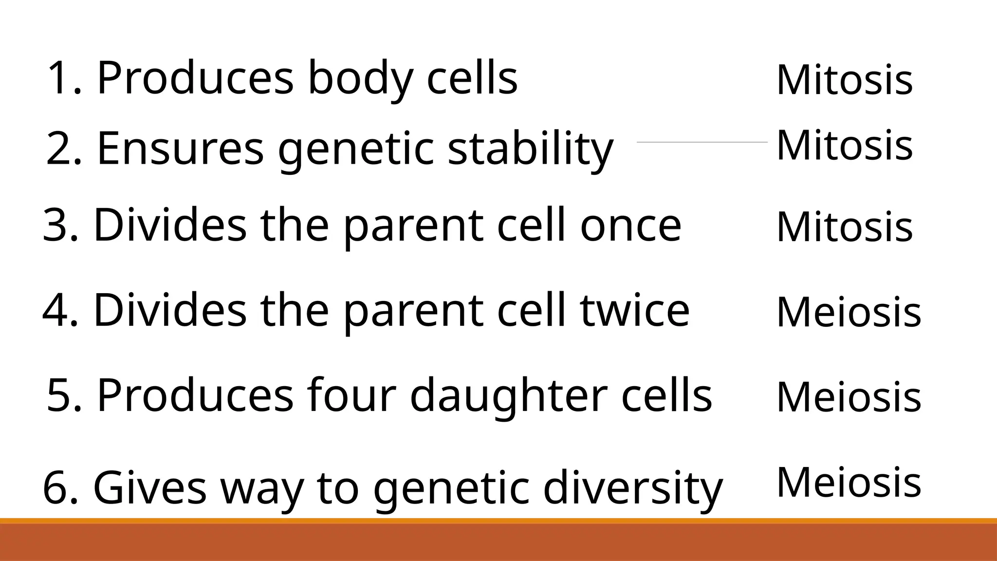 Differences between Mitosis and Meiosis.pptx
