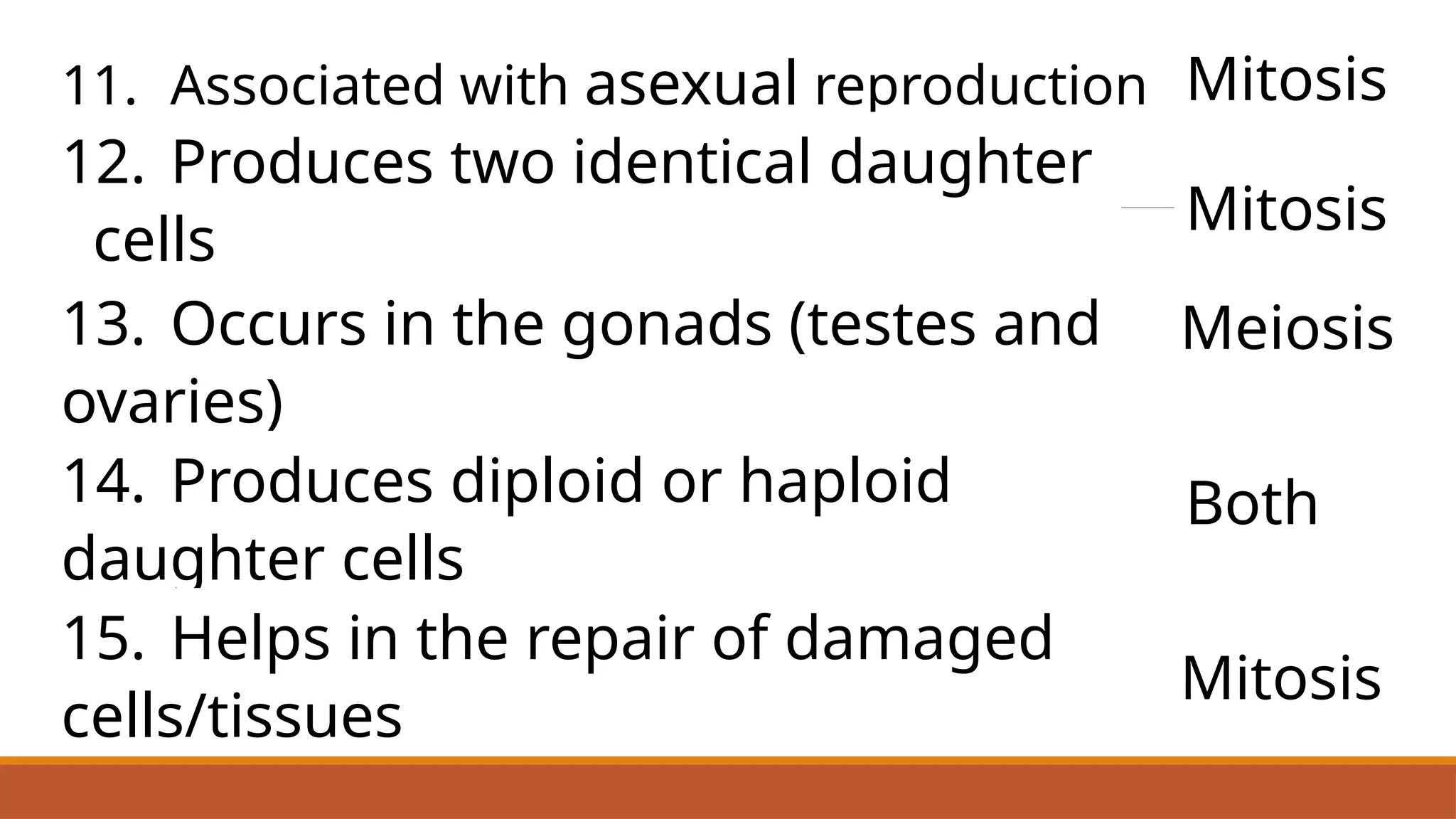 Differences between Mitosis and Meiosis.pptx