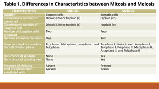 Differences between Mitosis and Meiosis.pptx