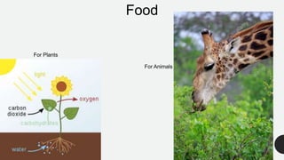 Differences between plant and animals | PPTX