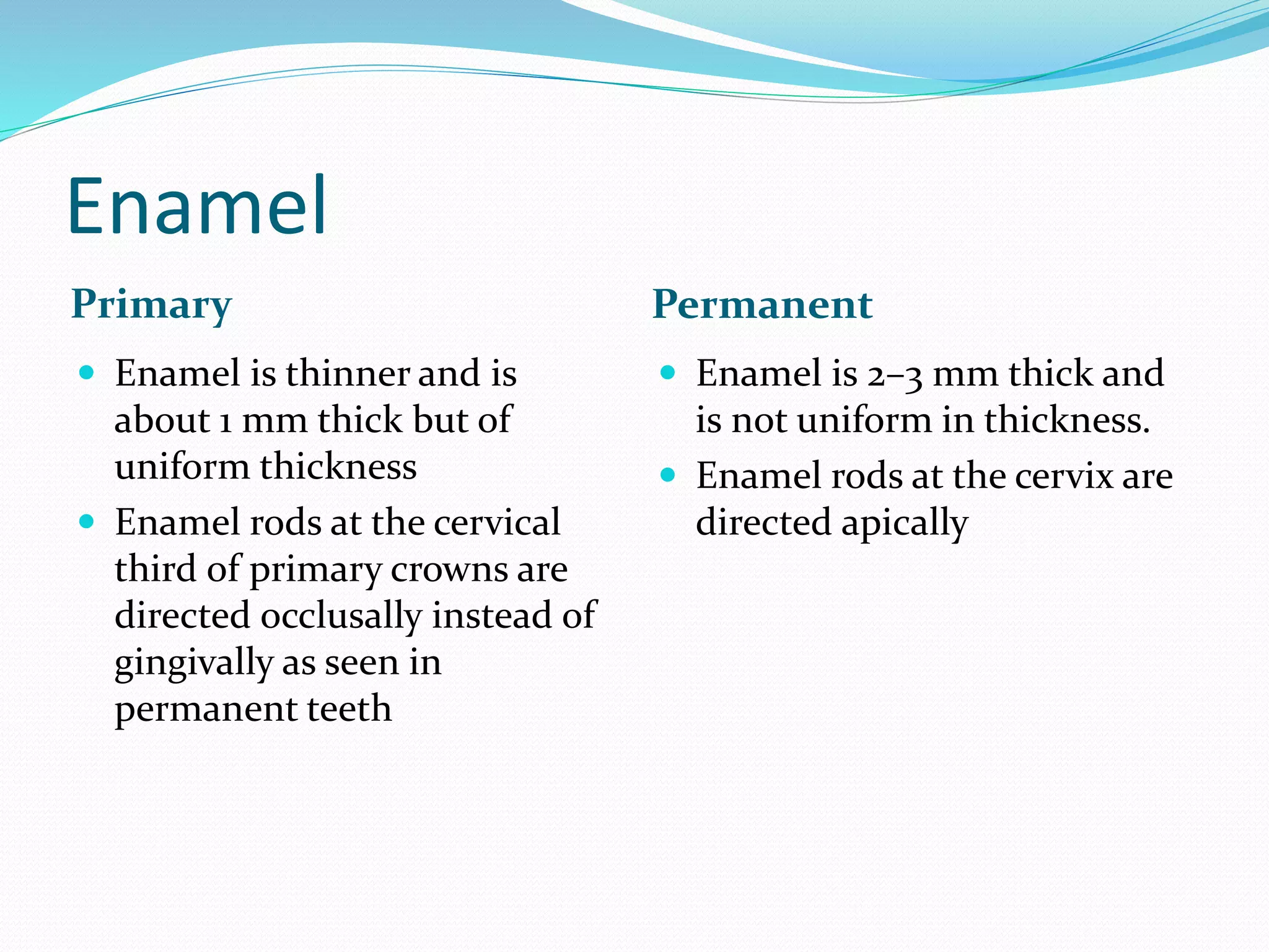 Differences between primary and permanent dentition | PPTX