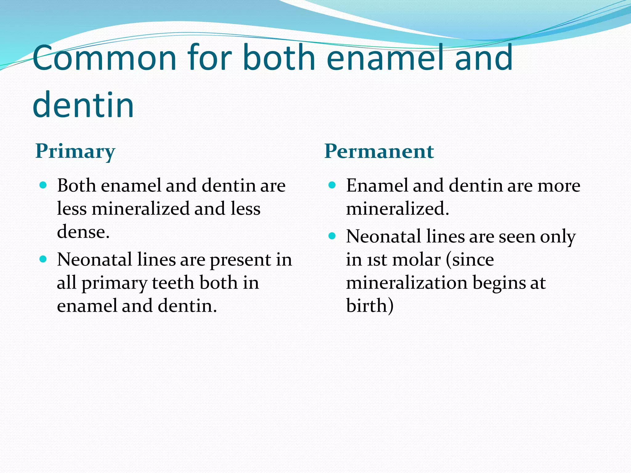Differences between primary and permanent dentition | PPTX