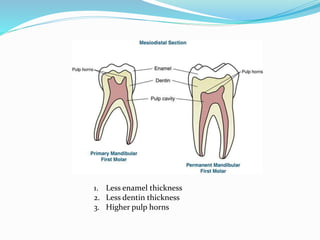 Differences between primary and permanent dentition | PPTX