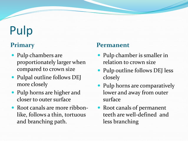 Differences between primary and permanent dentition | PPTX | Dental ...