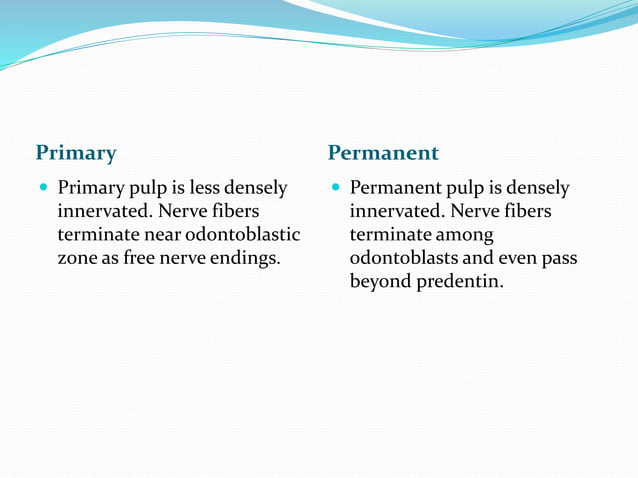 Differences between primary and permanent dentition | PPTX | Dental ...
