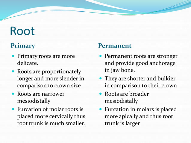 Differences between primary and permanent dentition | PPTX | Dental ...