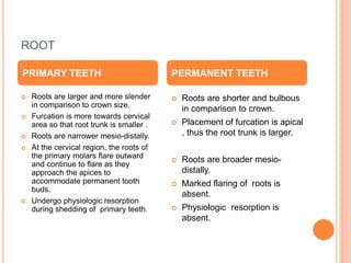 Differences between primary and permanent teeth | PPTX