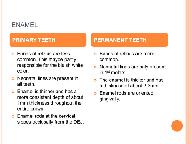 Differences between primary and permanent teeth | PPTX