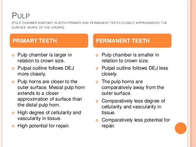 Differences between primary and permanent teeth Differences between primary and permanent teeth
