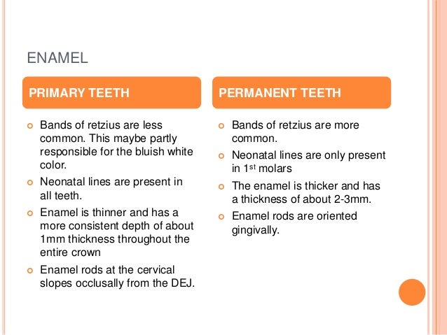 Differences between primary and permanent teeth Differences between primary and permanent teeth