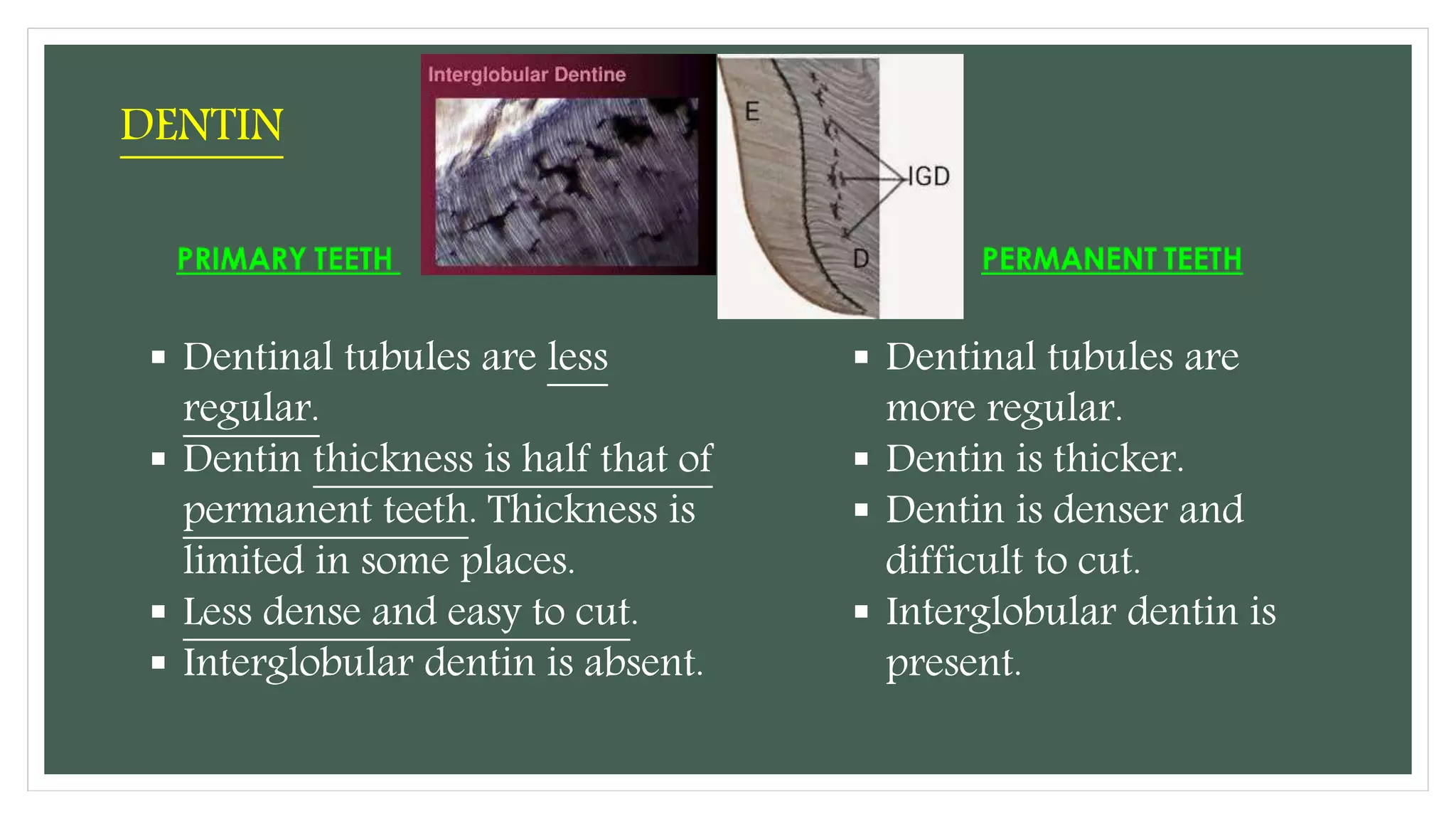 Differences between primary and permanent teeth and importance | PPTX