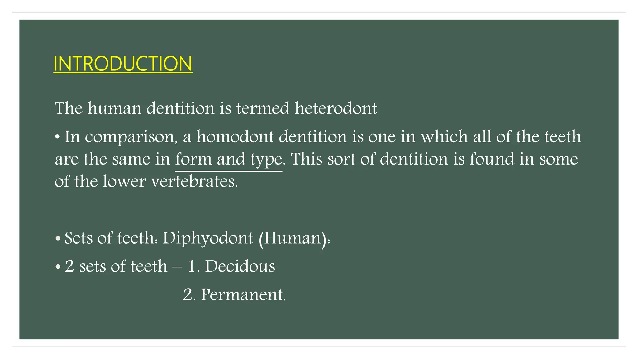 Differences between primary and permanent teeth and importance | PPTX