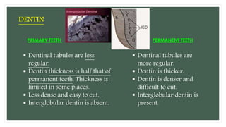 Differences between primary and permanent teeth and importance | PPTX
