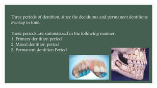 Differences between primary and permanent teeth and importance | PPTX