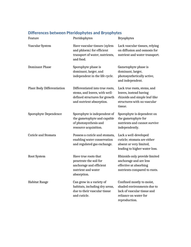 Differences Between Pteridophytes And Bryophytes Docx