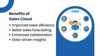 Differences Between Salesforce Sales Cloud and Service Cloud.pdf