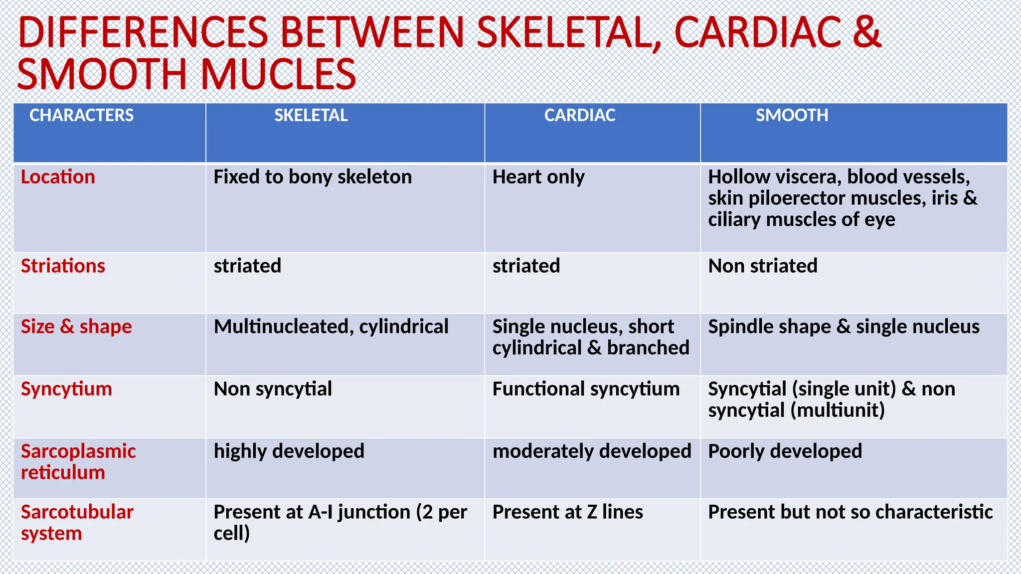 DIFFERENCES BETWEEN SKELETAL, CARDIAC & SMOOTH MUSCLES.pptx