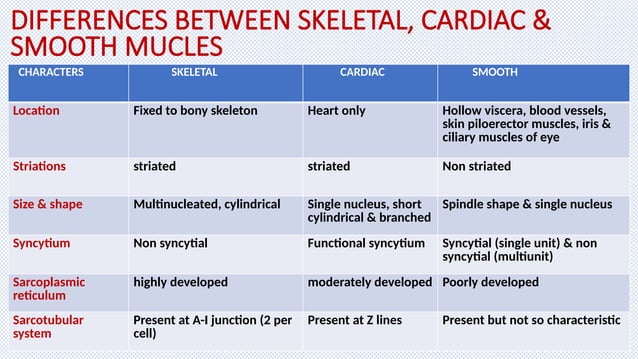 DIFFERENCES BETWEEN SKELETAL, CARDIAC & SMOOTH MUSCLES.pptx