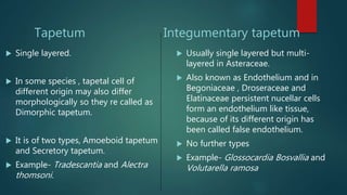 Differences between Tapetum and Integumentary tapetum | PPTX