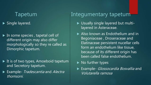 Differences between Tapetum and Integumentary tapetum | PPTX ...