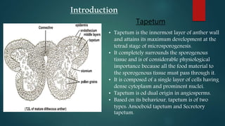 Differences between Tapetum and Integumentary tapetum | PPT