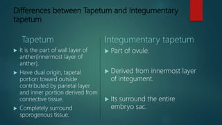 Differences between Tapetum and Integumentary tapetum | PPT