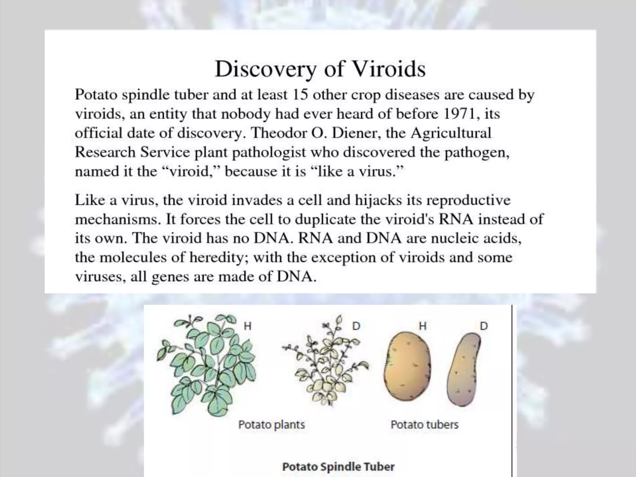 Differences between viroid and virion | PPTX | Biological Sciences ...