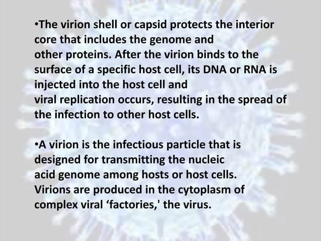 Differences between viroid and virion | PPTX | Biological Sciences ...