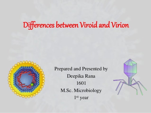 Differences between viroid and virion