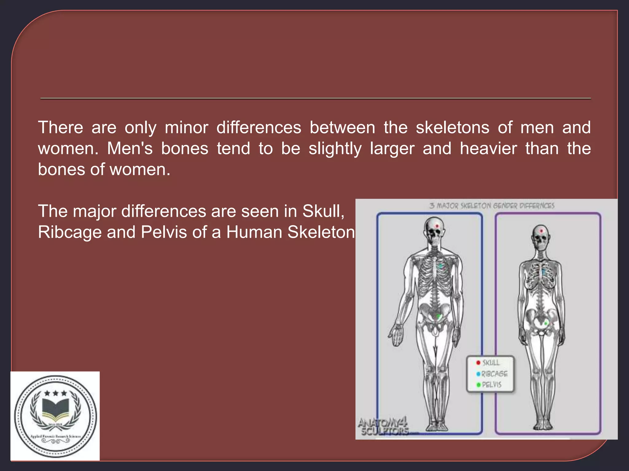 Differences in Male and Female Skeleton.pptx