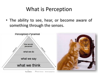 Differences in perception and their effect on business communications ...