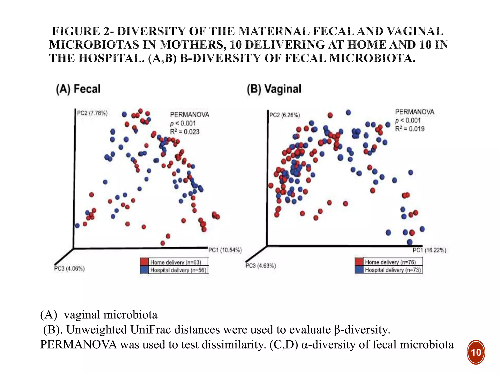 Differences in the fecal microbiota | PPT