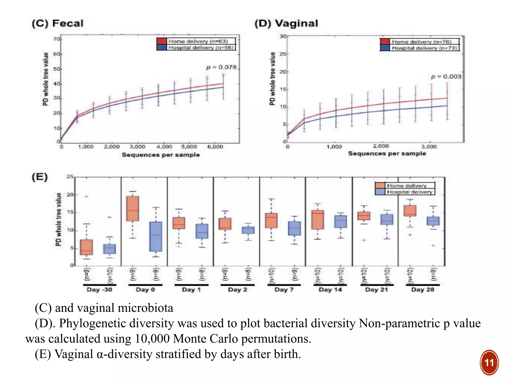 Differences in the fecal microbiota | PPT