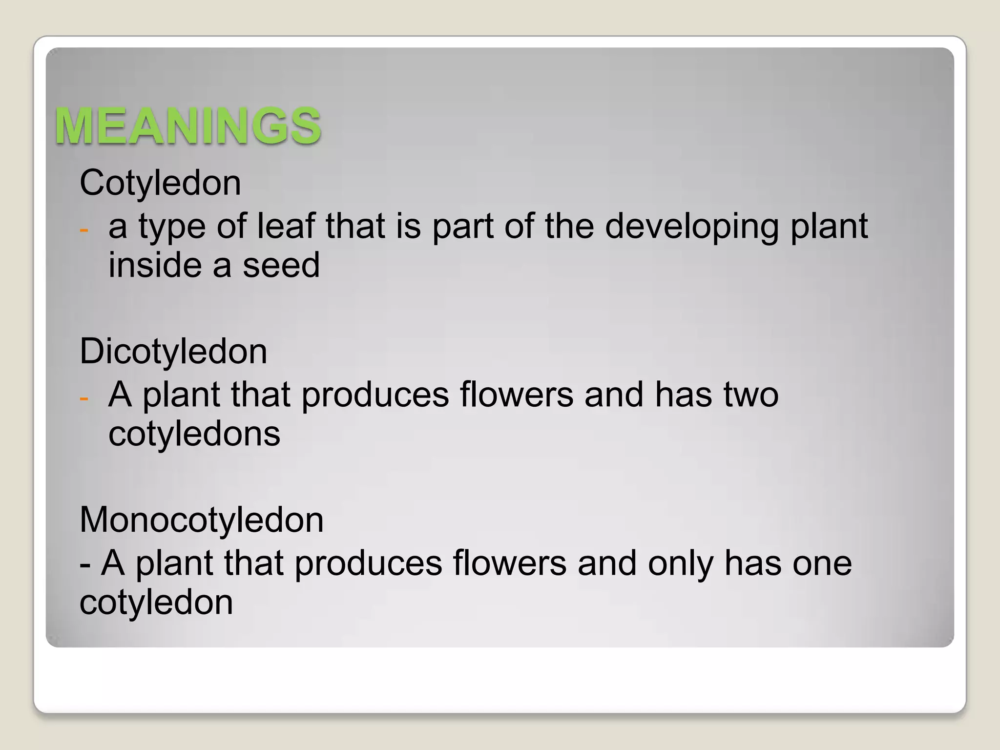 Differences of dicotyledonous plants and monocotyledonous | PPT
