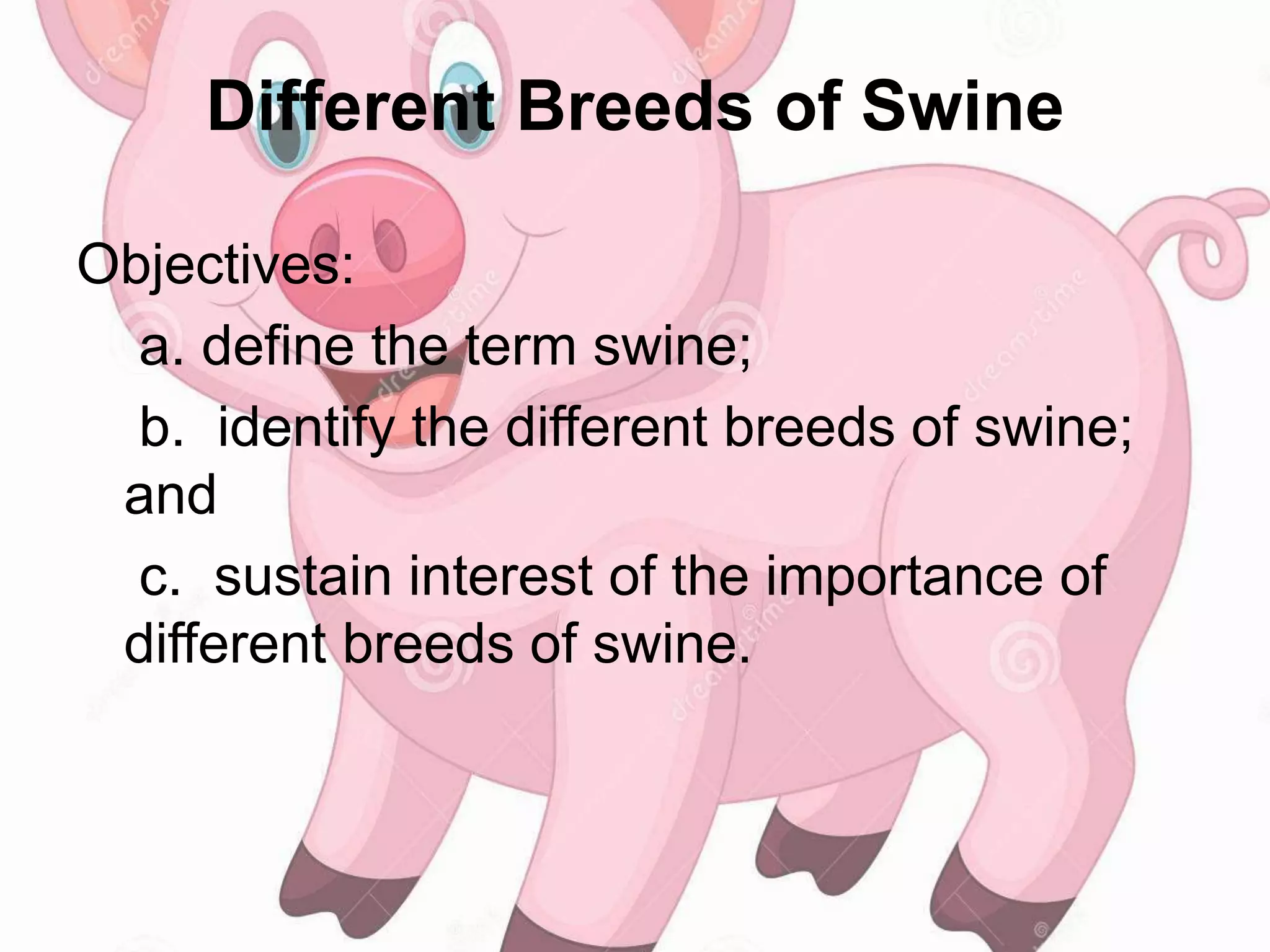 Different breeds-of-pig-ii | PPTX