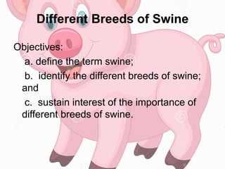 Different breeds-of-pig-ii | PPTX