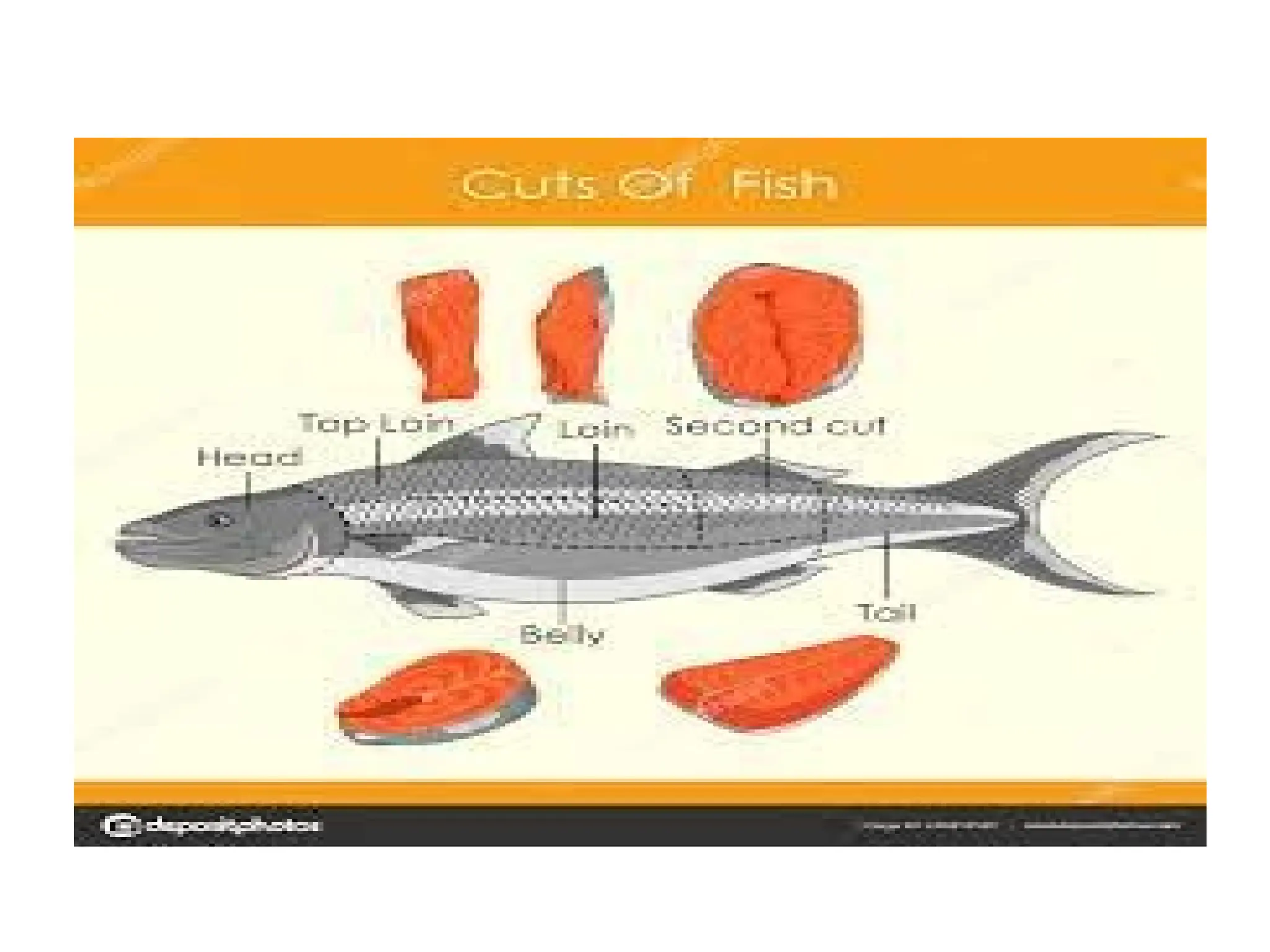 DIFFERENT-CUTS-OF-FISH COOKERY CUISINE.pptx