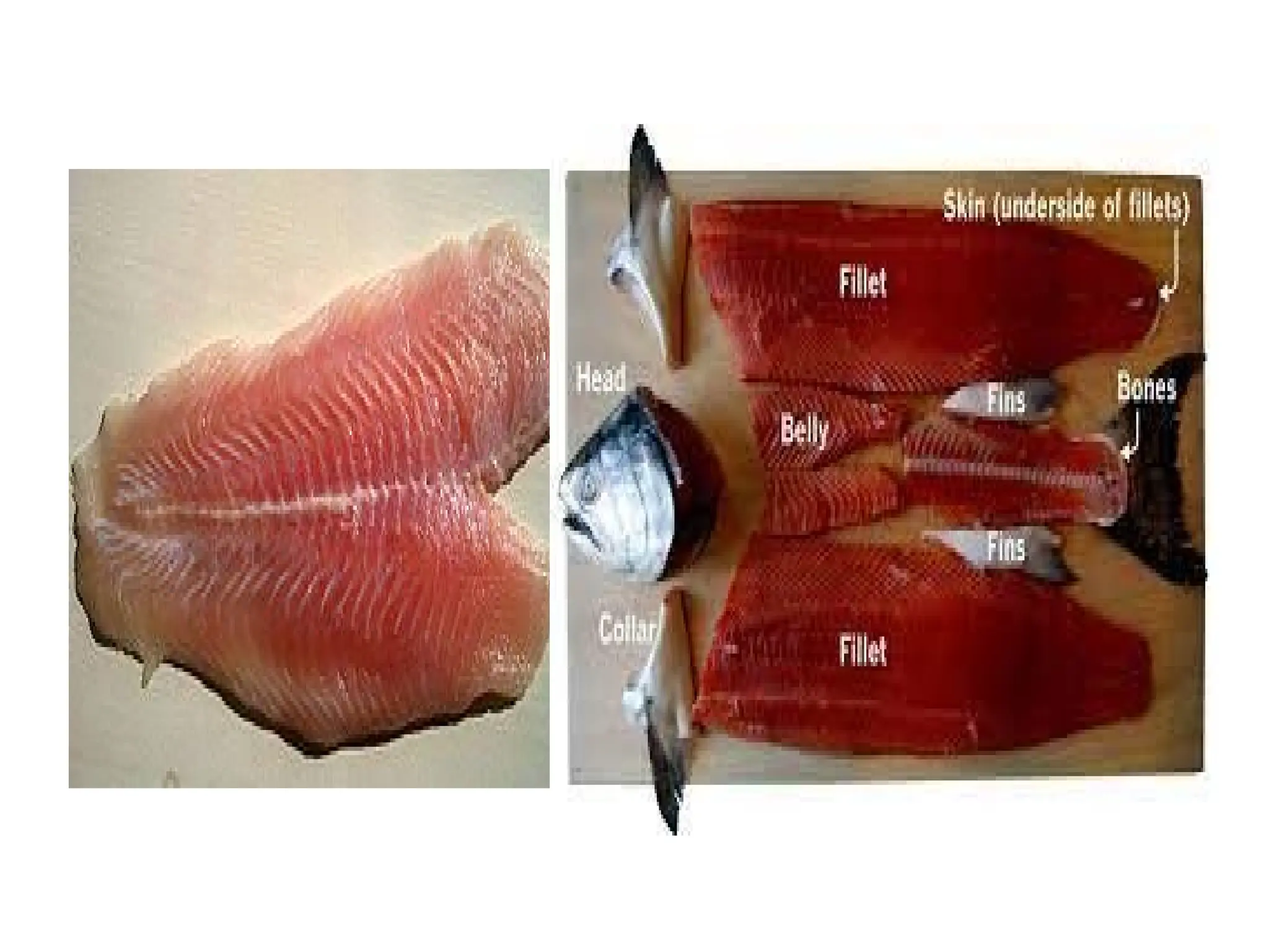 DIFFERENT-CUTS-OF-FISH COOKERY CUISINE.pptx