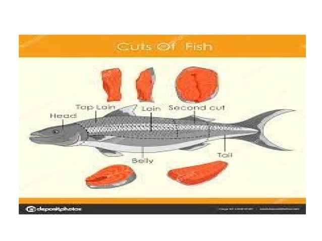 DIFFERENT-CUTS-OF-FISH COOKERY CUISINE.pptx