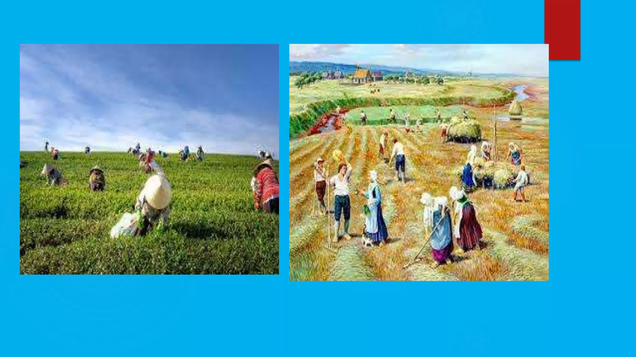 Different-Forms-of-Societies-2.pptx