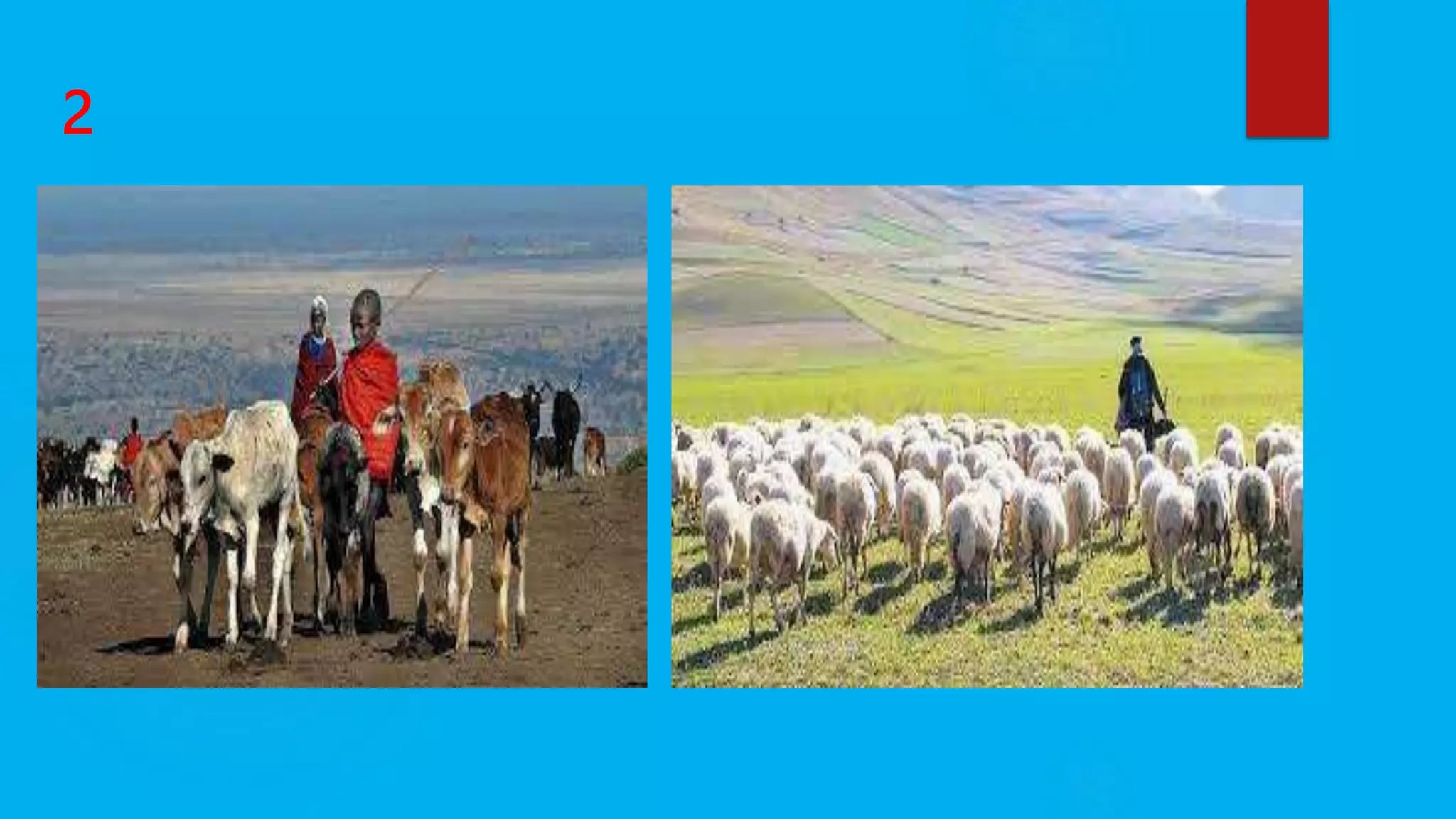 Different-Forms-of-Societies-2.pptx