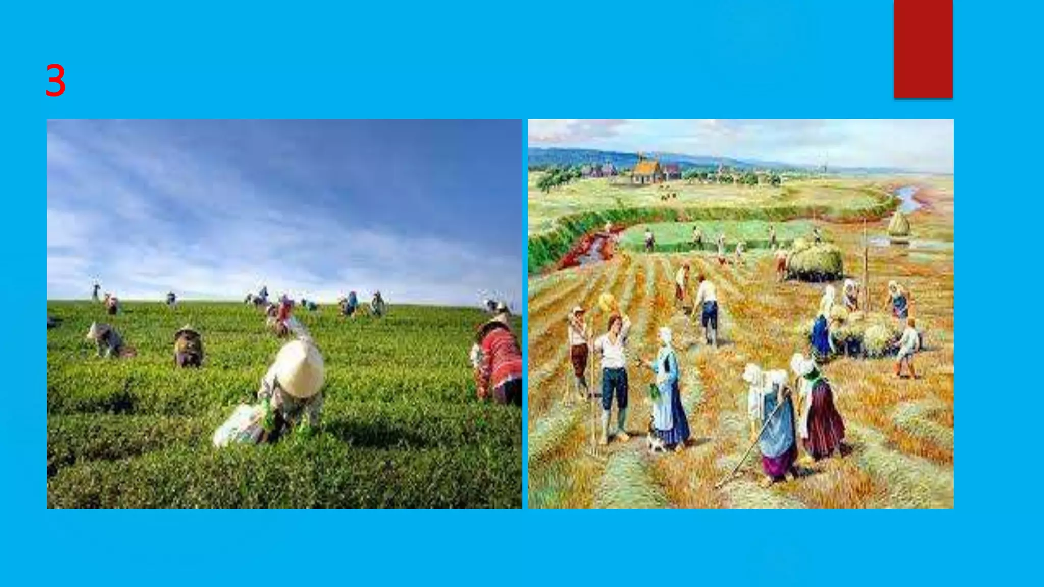 Different-Forms-of-Societies-2.pptx