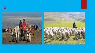 Different-Forms-of-Societies-2.pptx