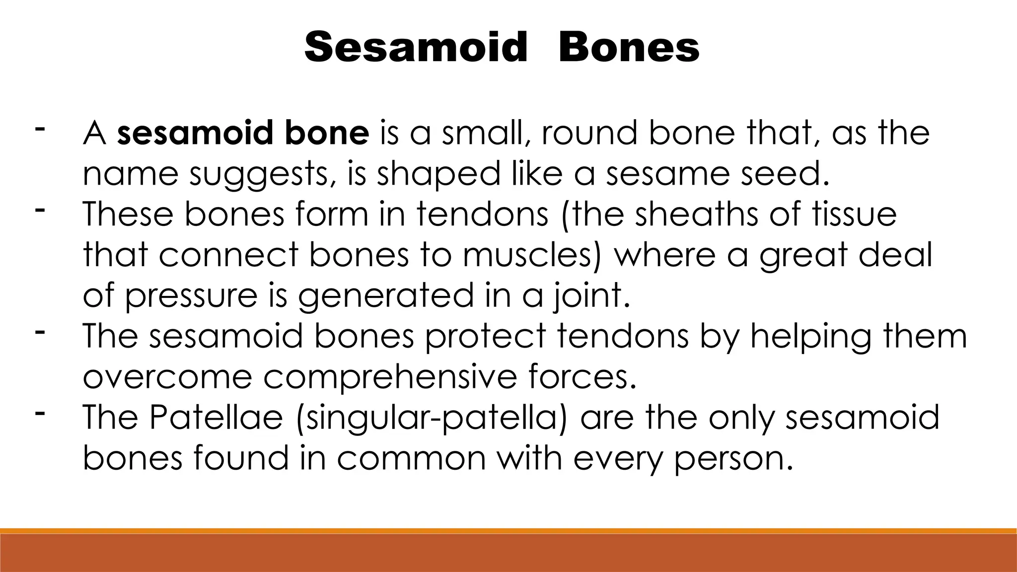 Different-Types-of-Bones basis ofstudent | PPTX