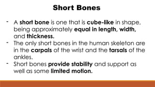 Different-Types-of-Bones basis ofstudent | PPTX